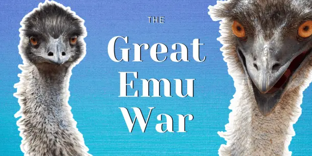 The Great Emu War - History with Henry